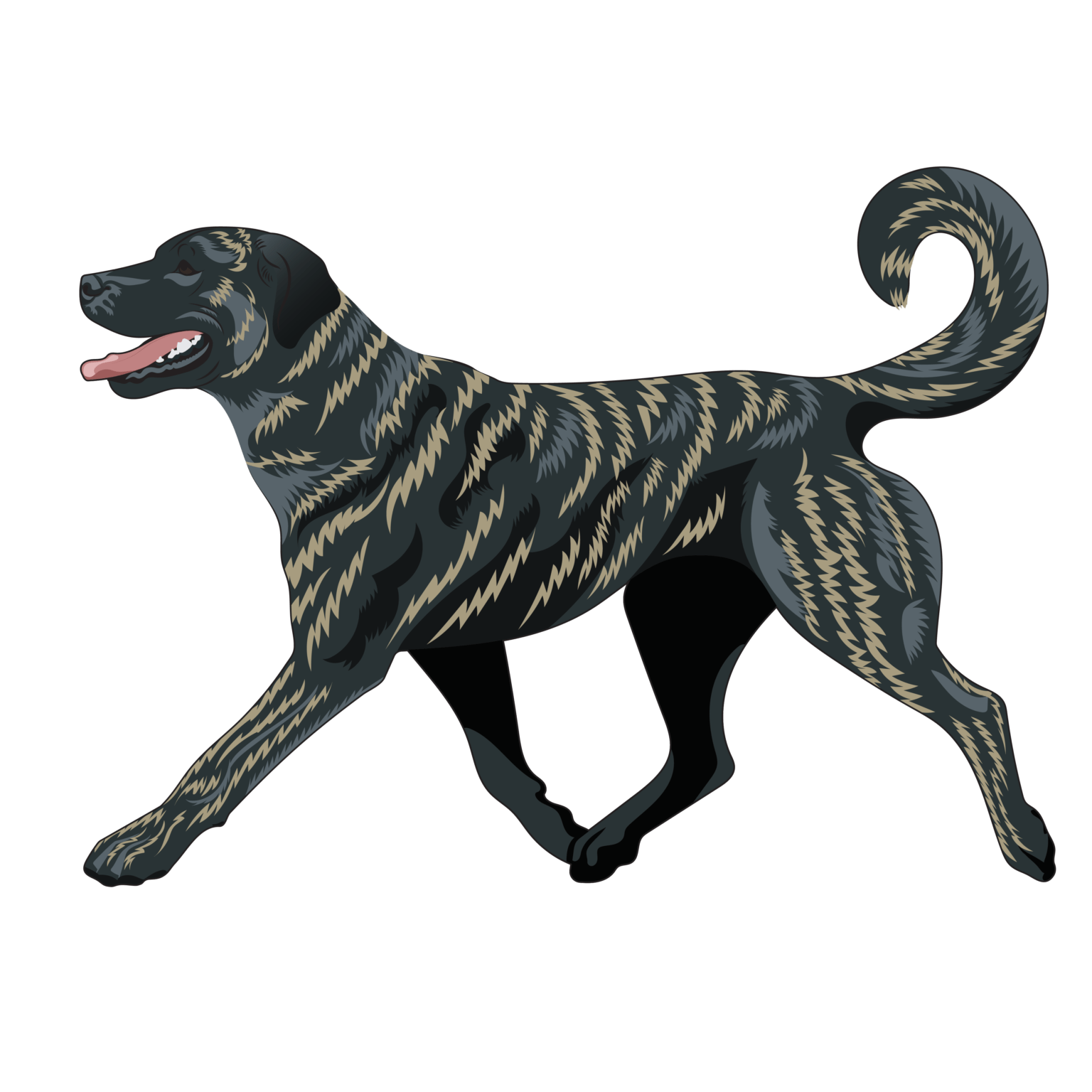 Brindle Anatolian Shepherds - Apex Anatolians - AKC Anatolian Shepherd Dogs