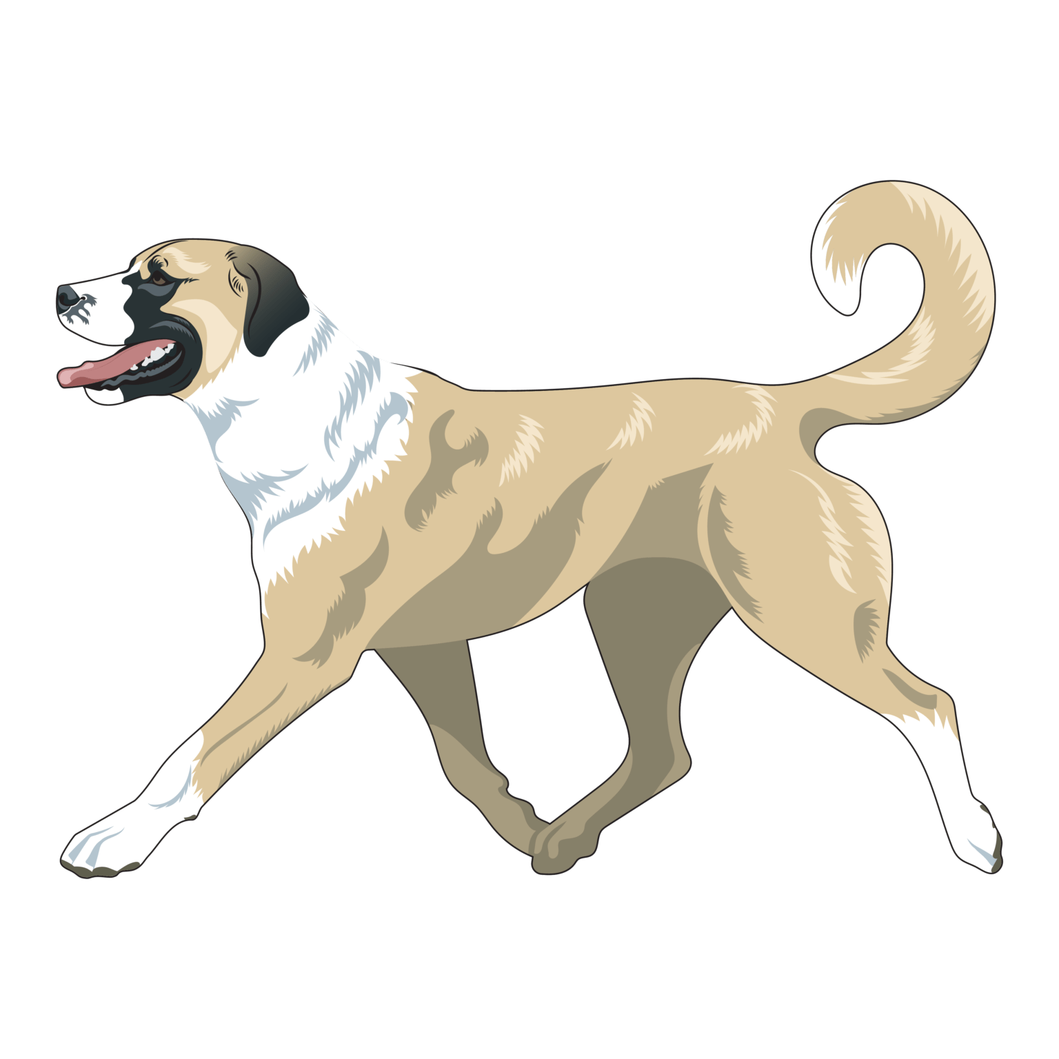 Dutch Marked Anatolian Shepherds - Apex Anatolians - AKC Anatolian ...